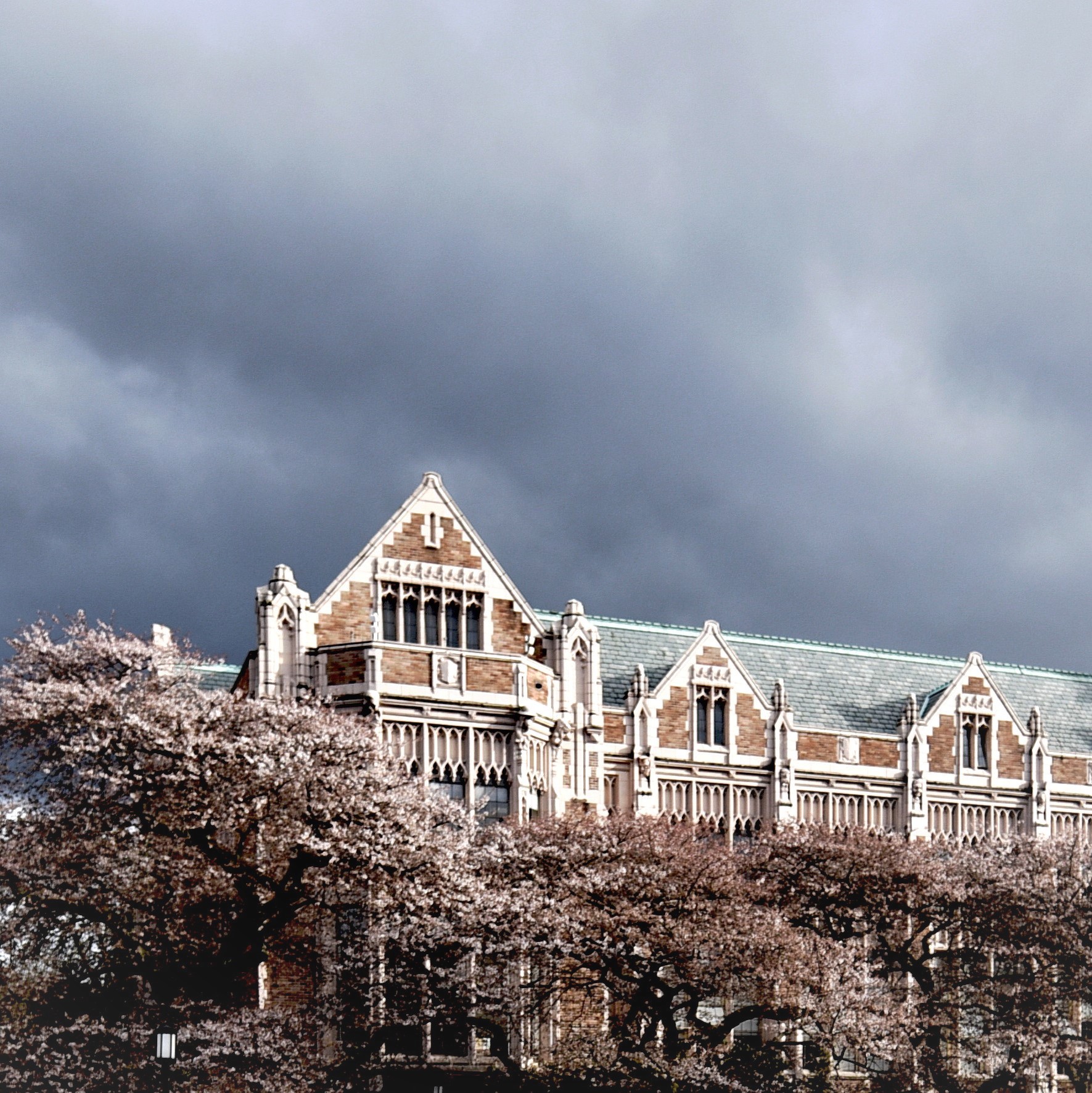 Purple and Gold Tour: From Gothic to Modern at the UW Core (Cherry ...